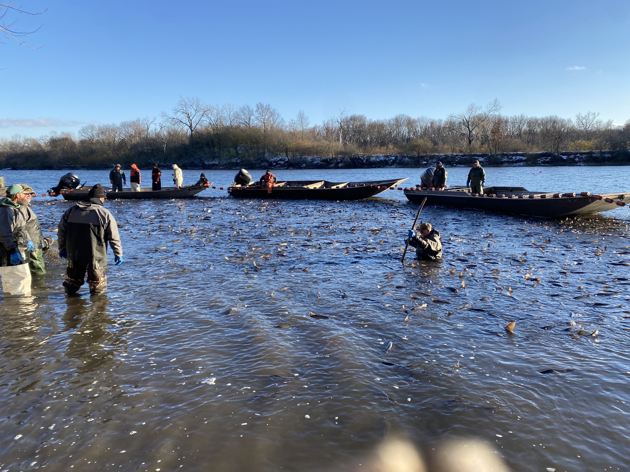 IDNR concludes record-breaking invasive carp removal effort on Upper ...