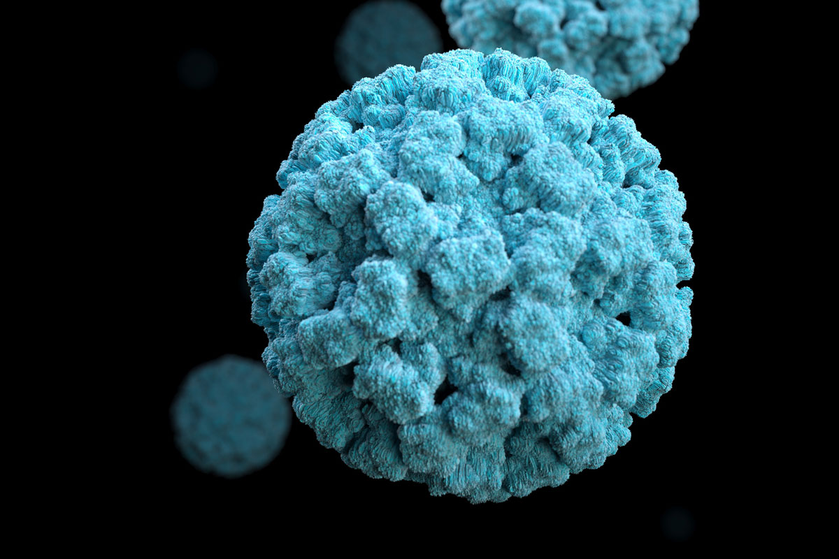 Winter Stomach Bug Alert: Norovirus on the Loose! - Farmers Weekly Review