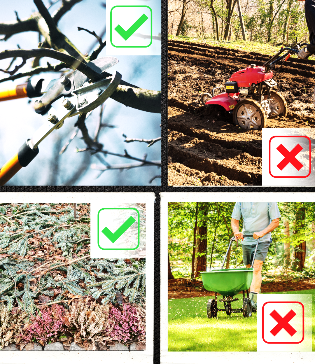 Late winter in the garden: Do’s and, more importantly, Don’ts - Farmers ...